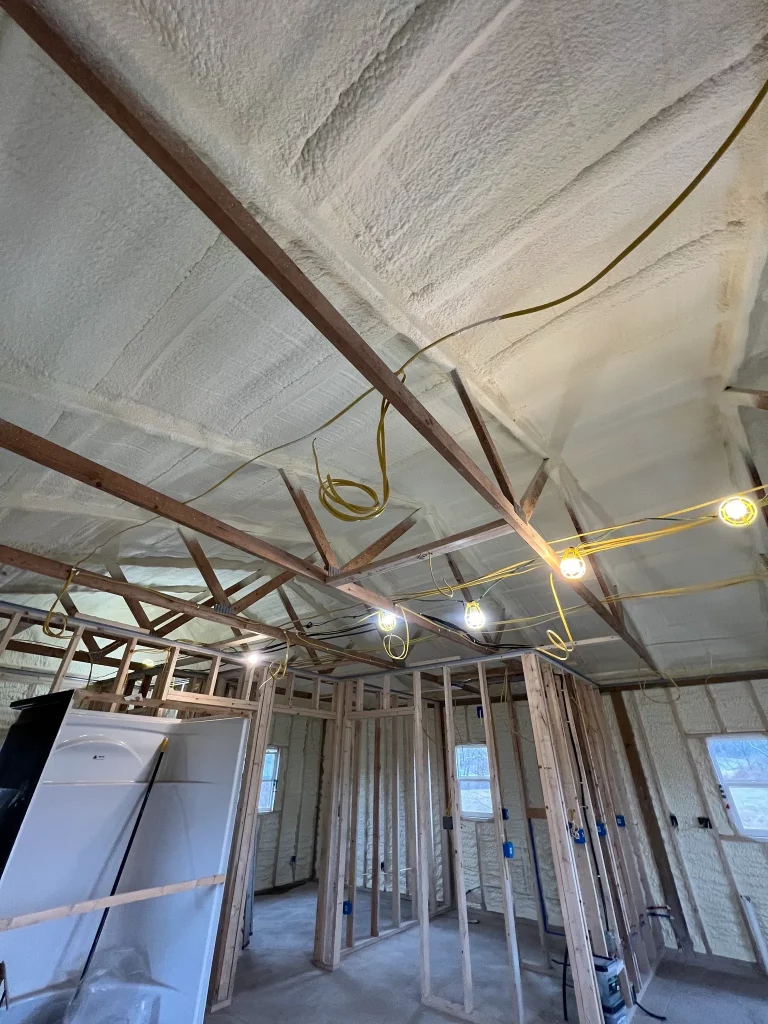 What Makes Spray Foam a Mold-Resistant Insulation?